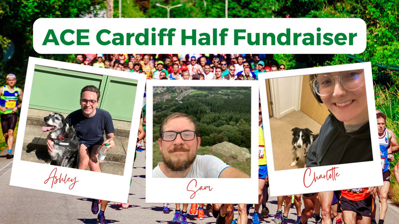 News & Features - ACE - Action in Caerau & Ely